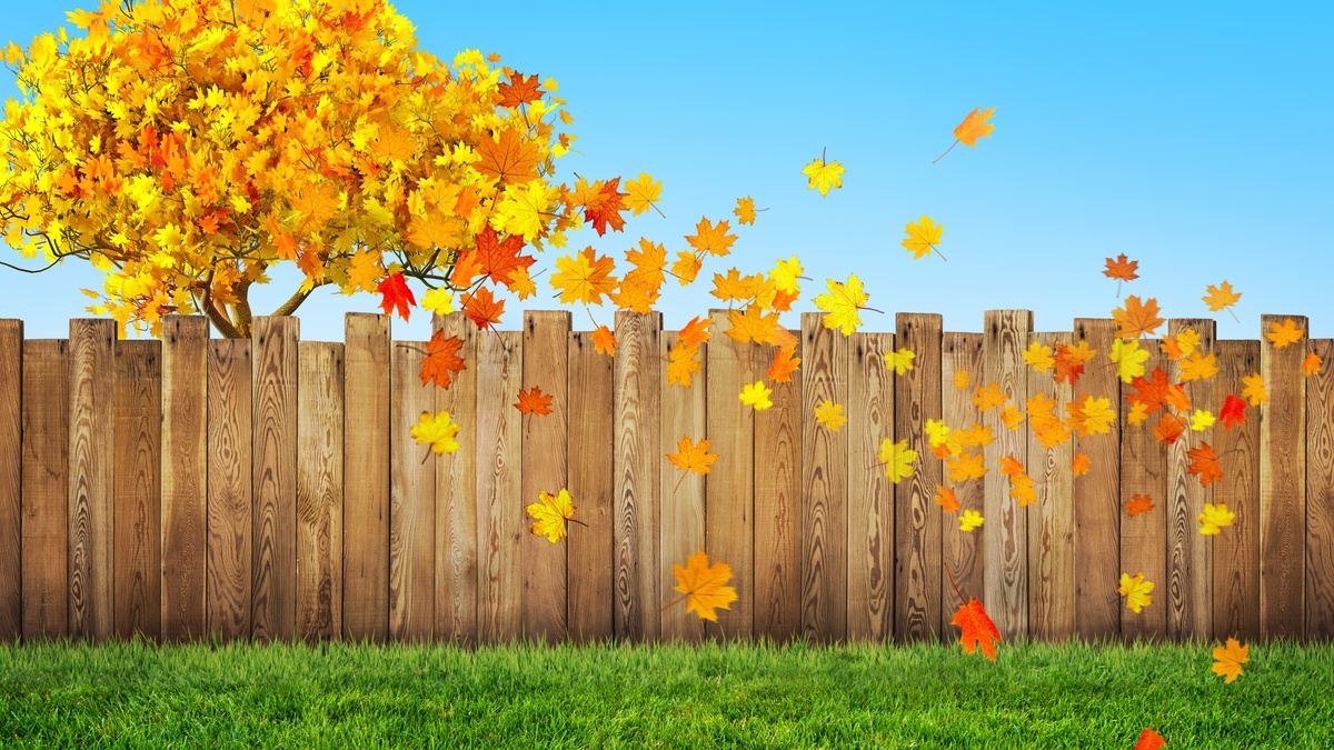 Paint your landscape with Autumn colors.