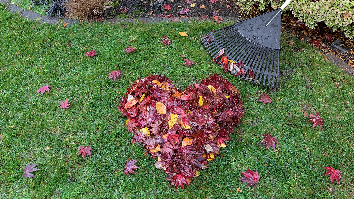 Spruce up your landscaping with colors of Autumn