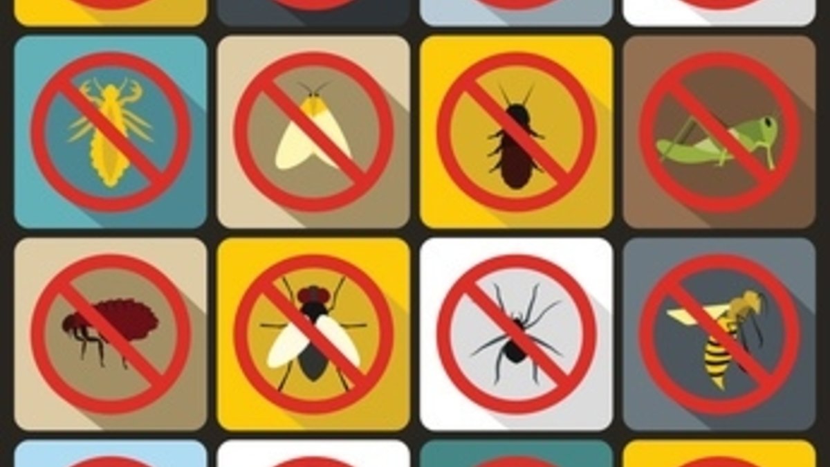 Top Tips for Keeping Pests Out of Your Landscaping